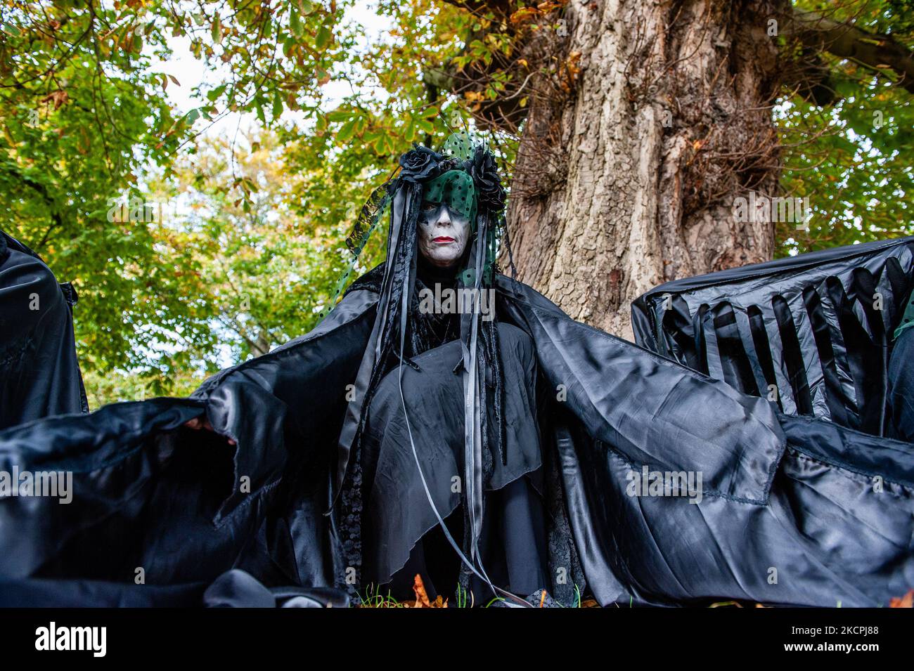 The Black Rebels from Extinction Rebellion are performing around a tree ...