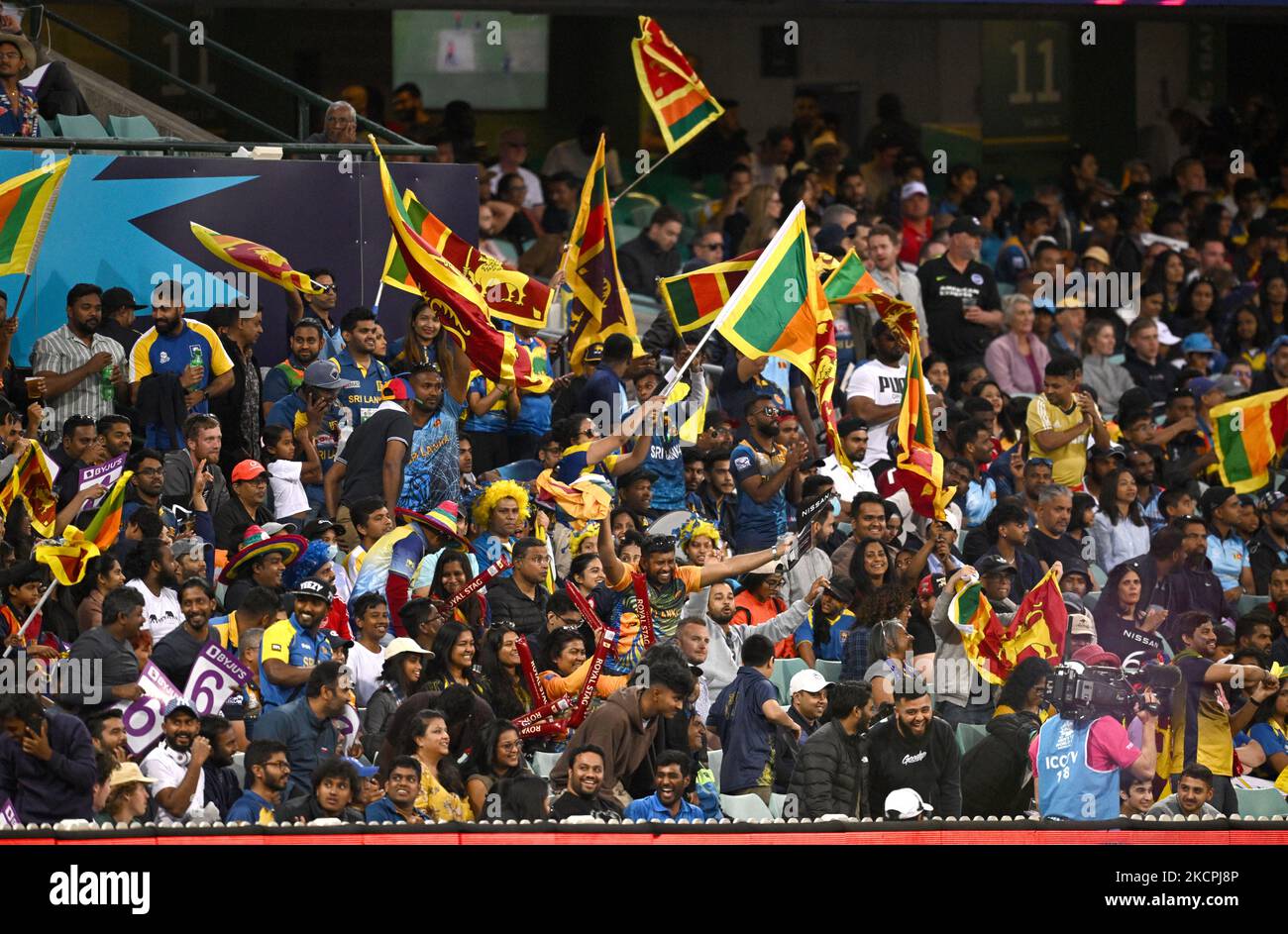 Sri Lanka fans show their support during the T20 World Cup match at the ...