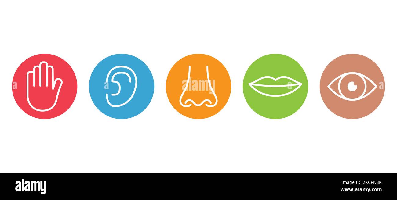 Outline icon set of five human senses: vision eye smell nose hearing ...