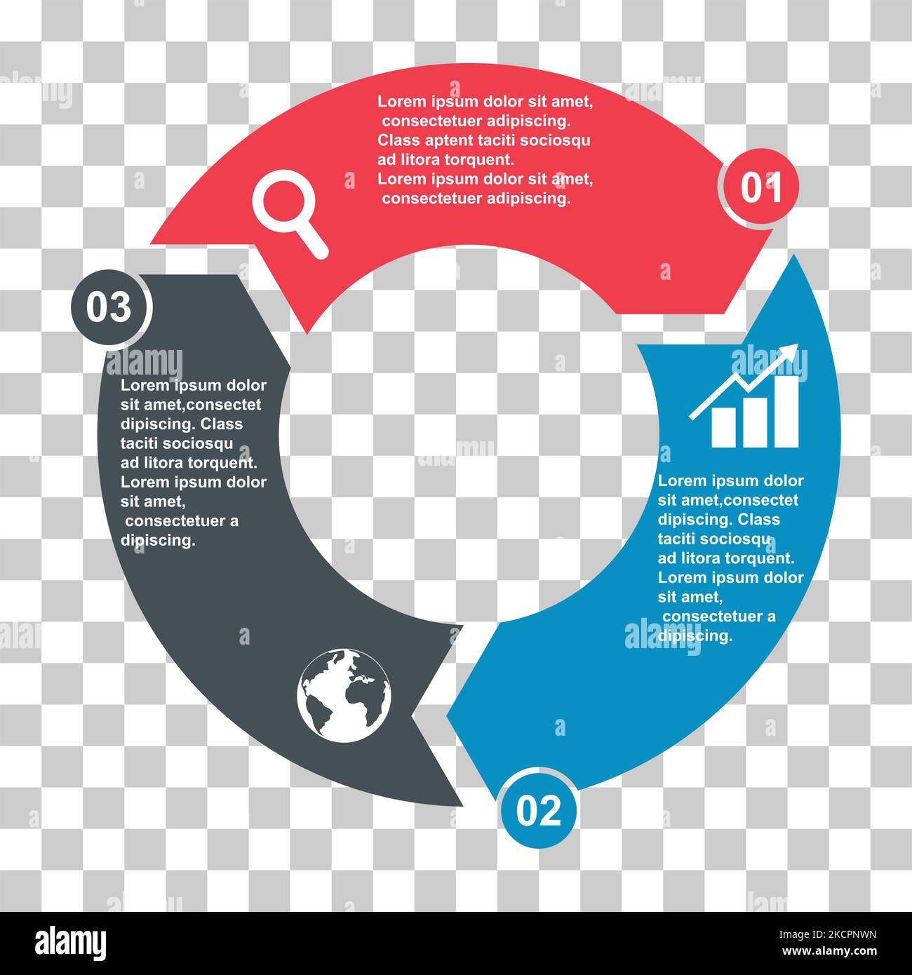 Chart Infographic Business Template Icon Pie Circle Diagram Visualization Vector Illustration