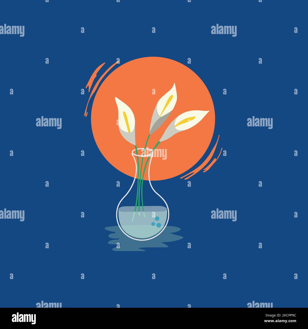 Calla Lily Illustration Stock Vector Images Alamy