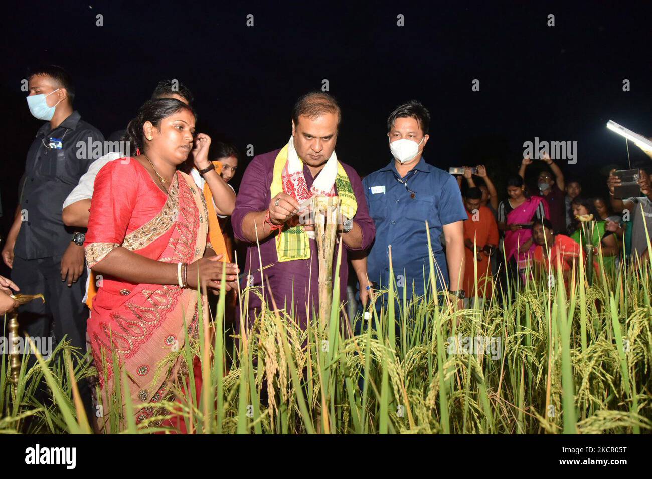 Assam Chief Minister Himanta Biswa Sarmah light lamps in the paddy ...