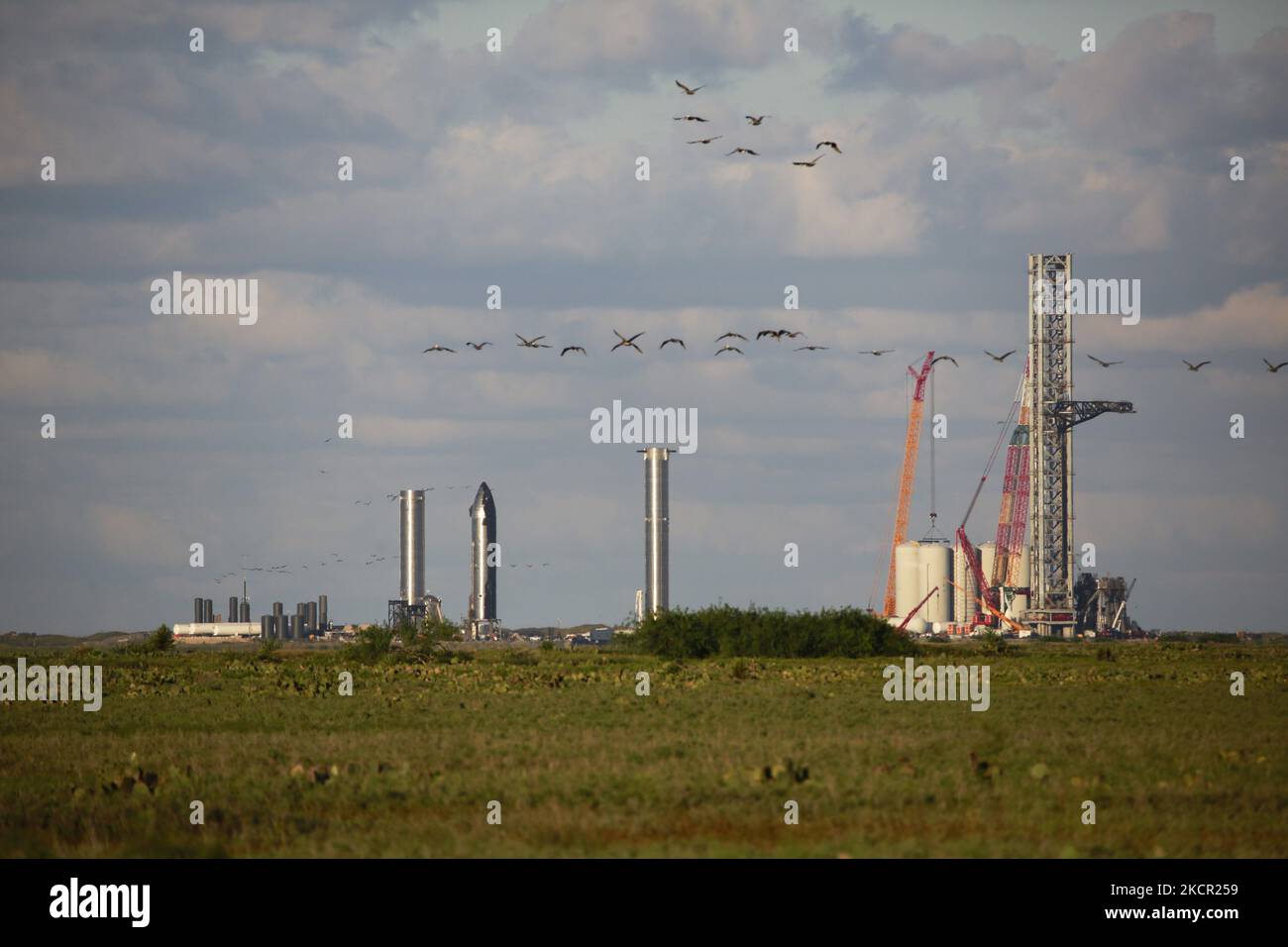Birds fly in formation above SpaceX's controversial launch site in a ...