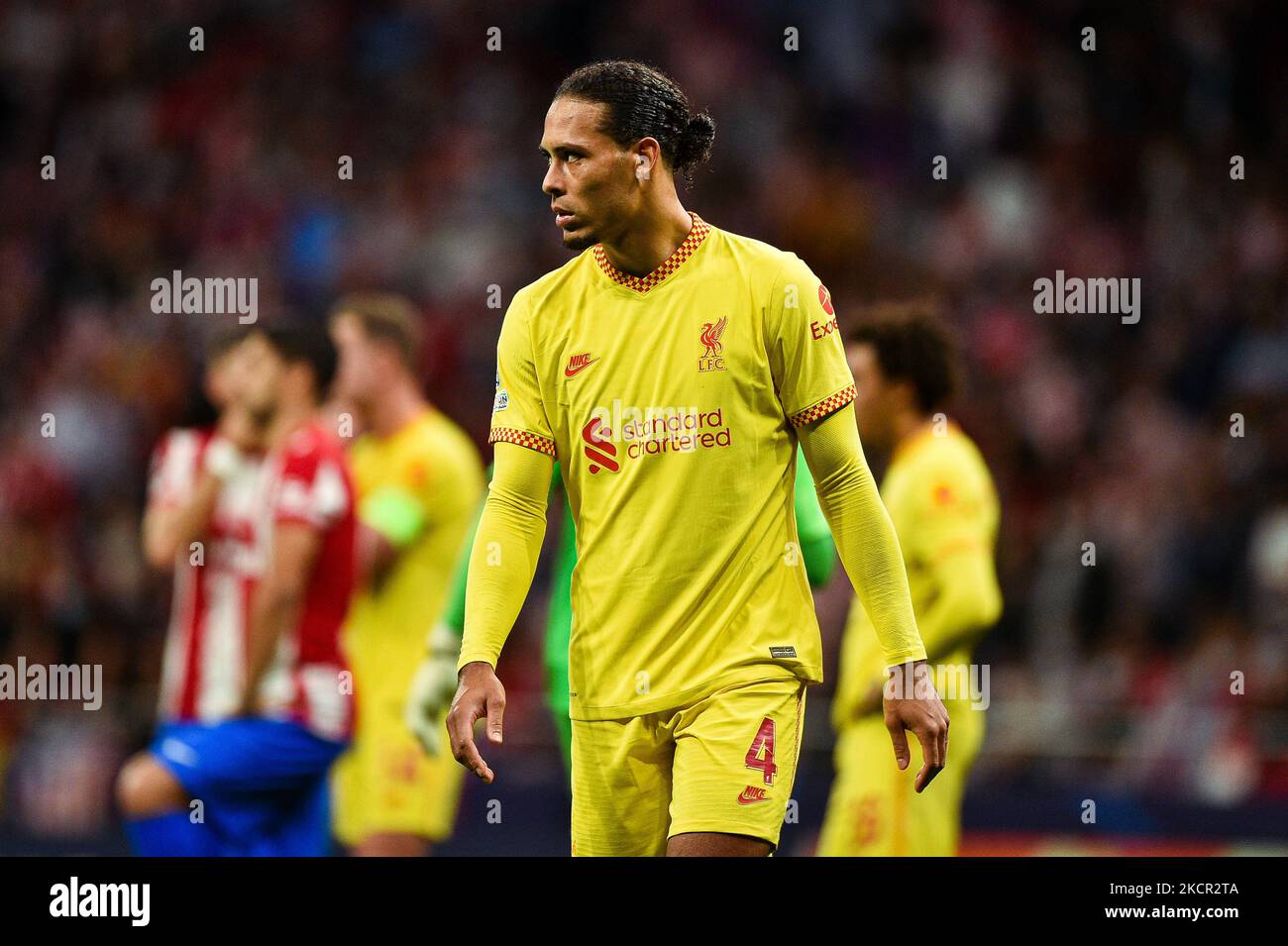 Fútbol van dijk hi-res stock photography and images - Alamy