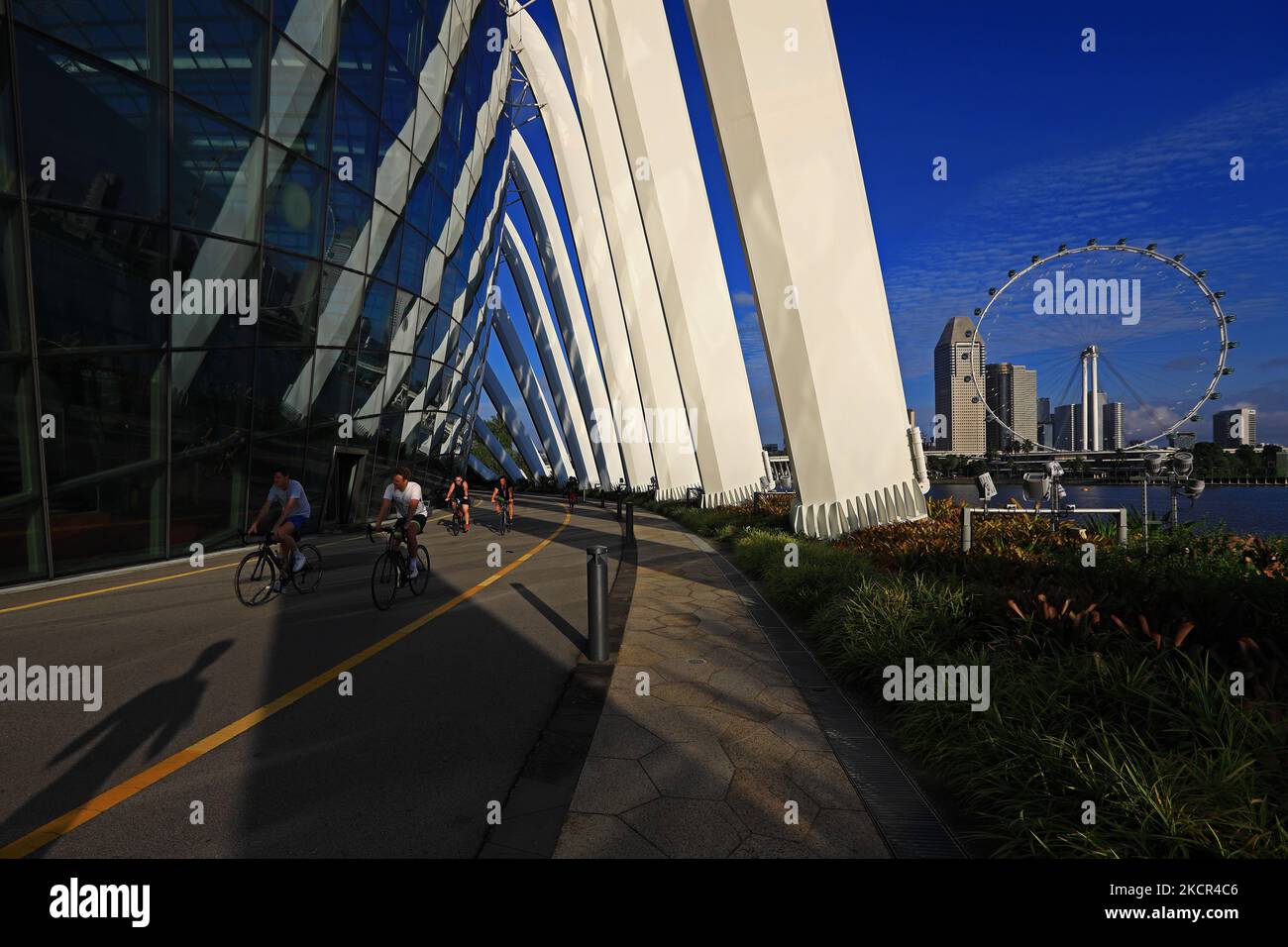 People jog and cycle along a park connector network outside the Cloud ...