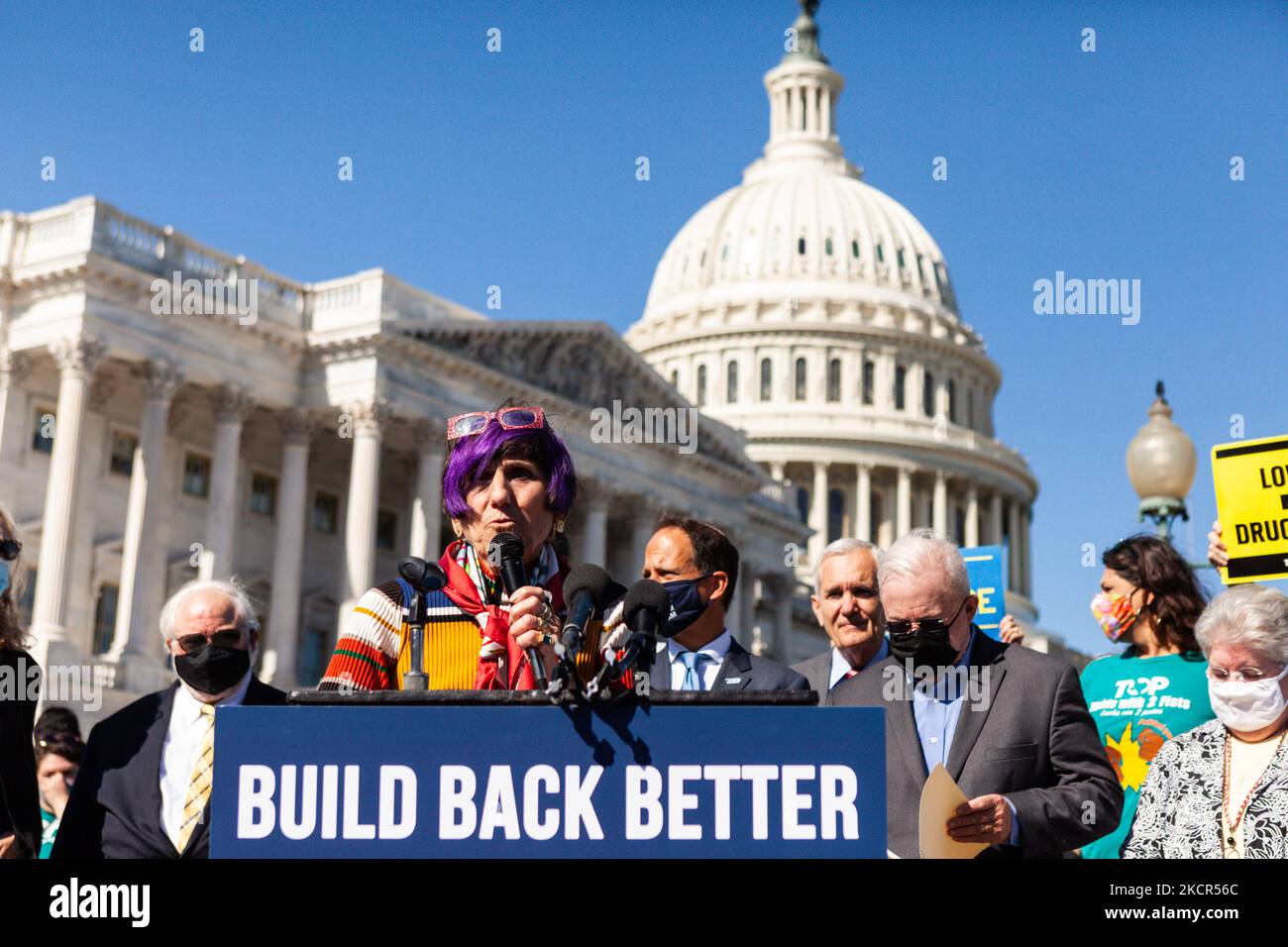 Rosa delauro hi-res stock photography and images - Alamy Rosa delauro hi-res stock photography and images - Alamy