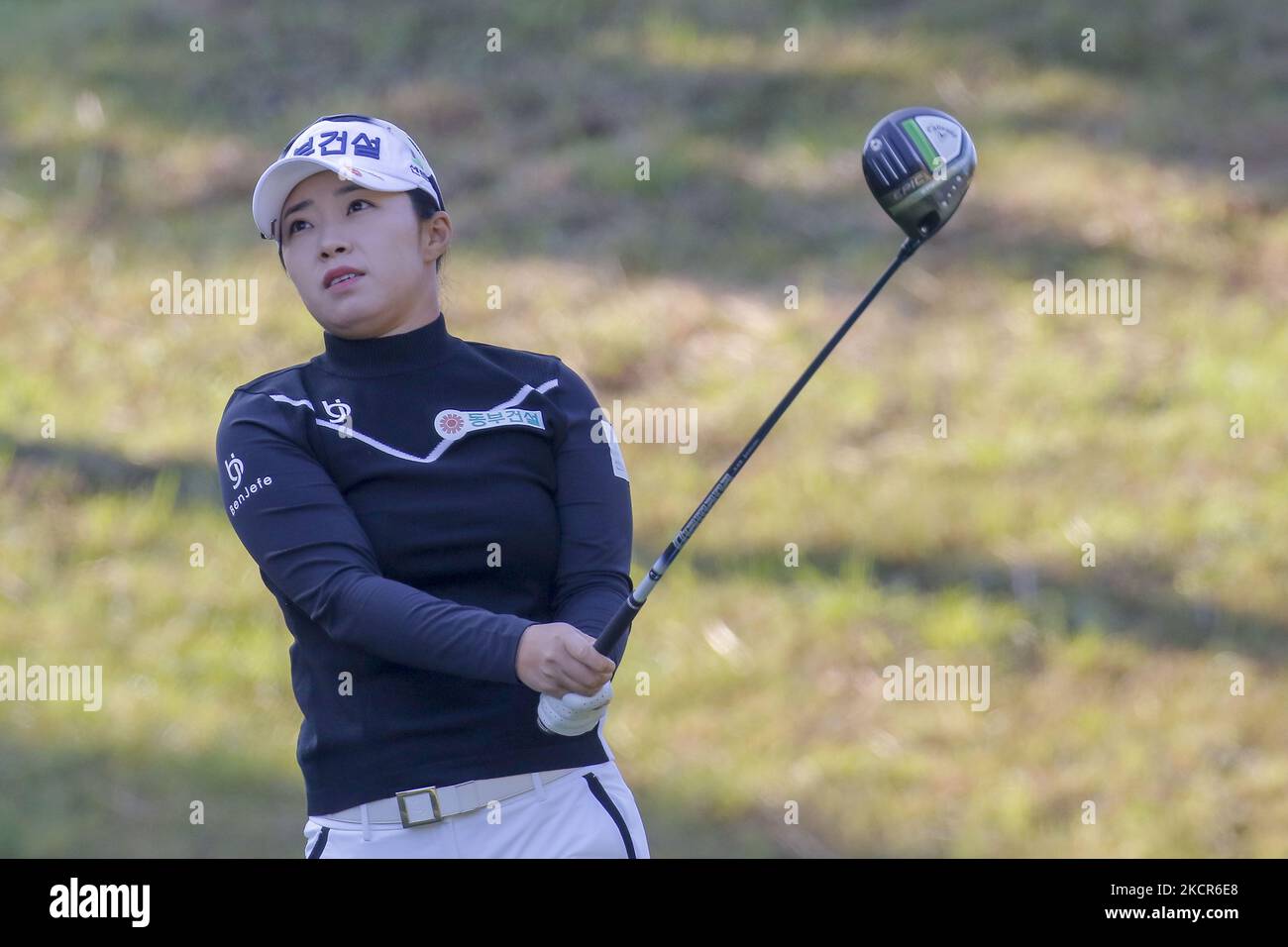 Su ji hi-res stock photography and images - Alamy