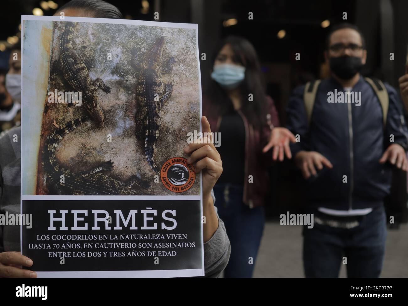 Activists from the organisation Animal Save Movement Mexico, hold signs ...