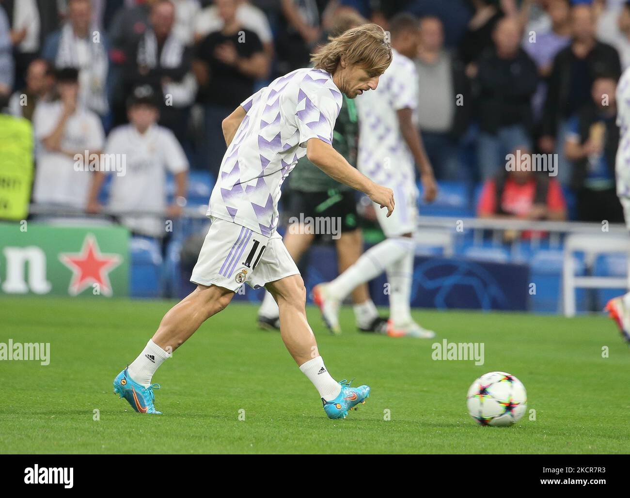 Luka Modric of Real Madrid during the UEFA Champions League, Group F ...