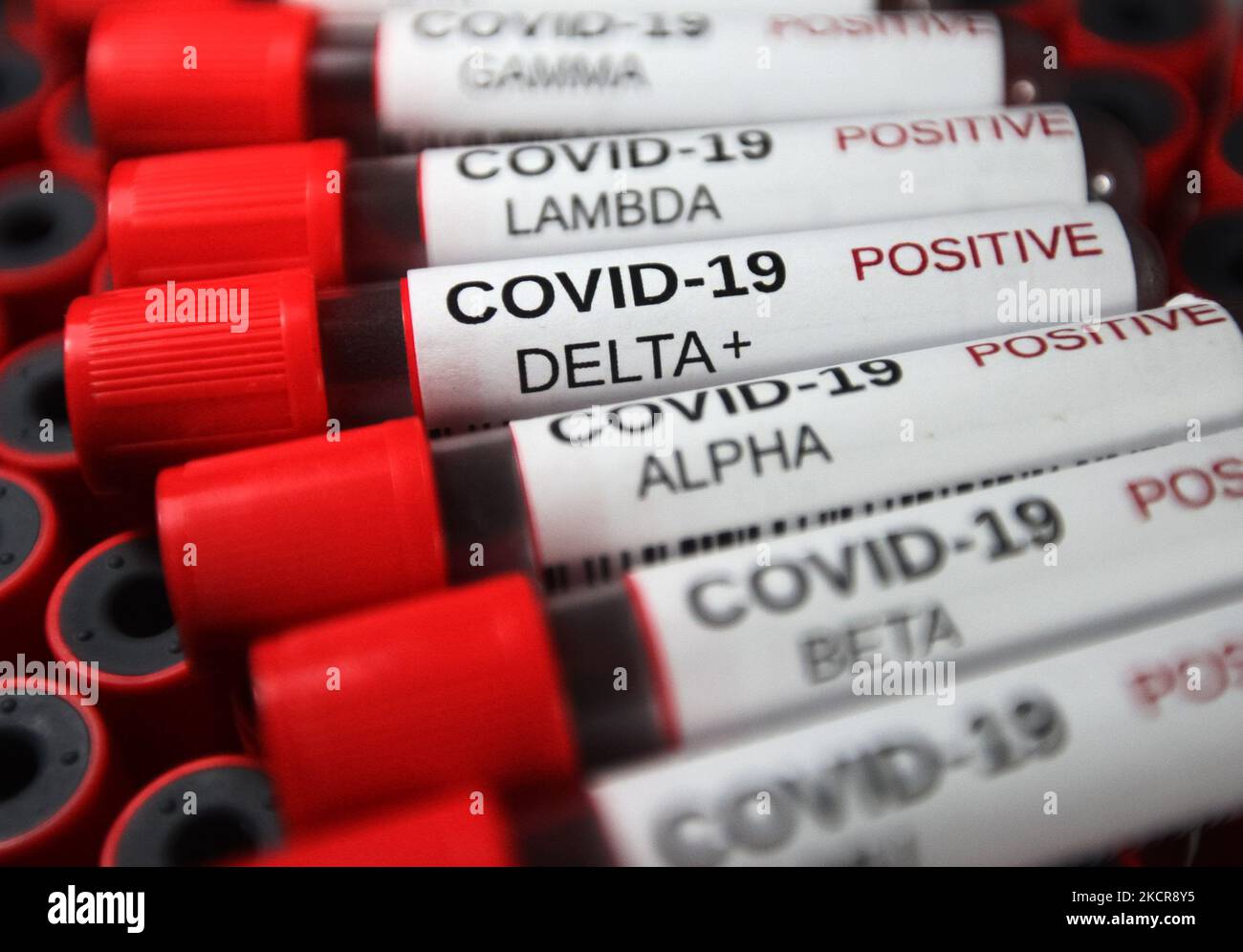 Test sample tubes labelled 'COVID-19 Delta,Delta + (plus),Alpha,Gamma ...