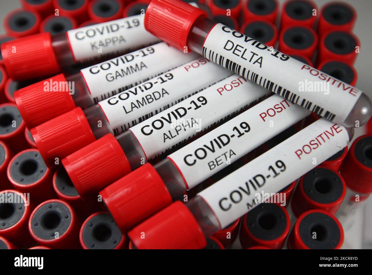 Test sample tubes labelled 'COVID-19 Delta,Delta + (plus),Alpha,Gamma ...