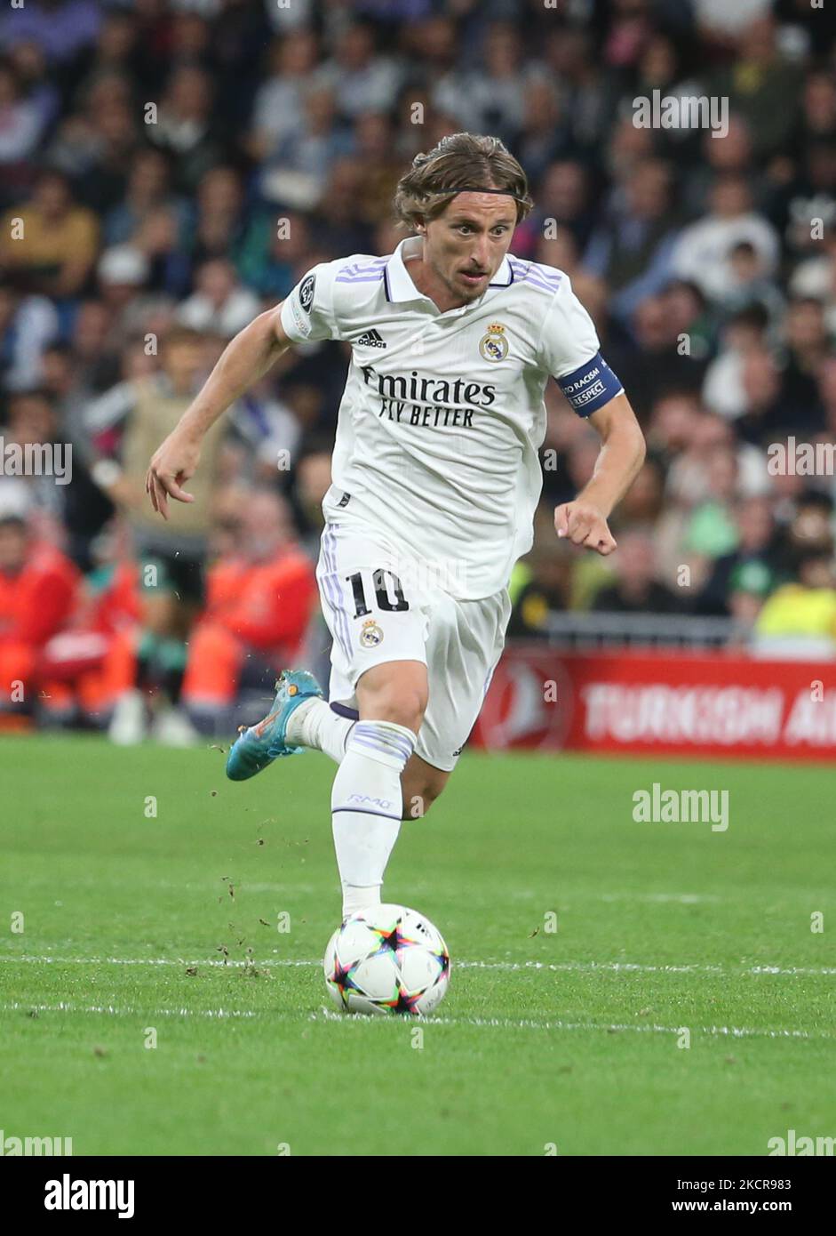 Luka Modric of Real Madrid during the UEFA Champions League, Group F ...
