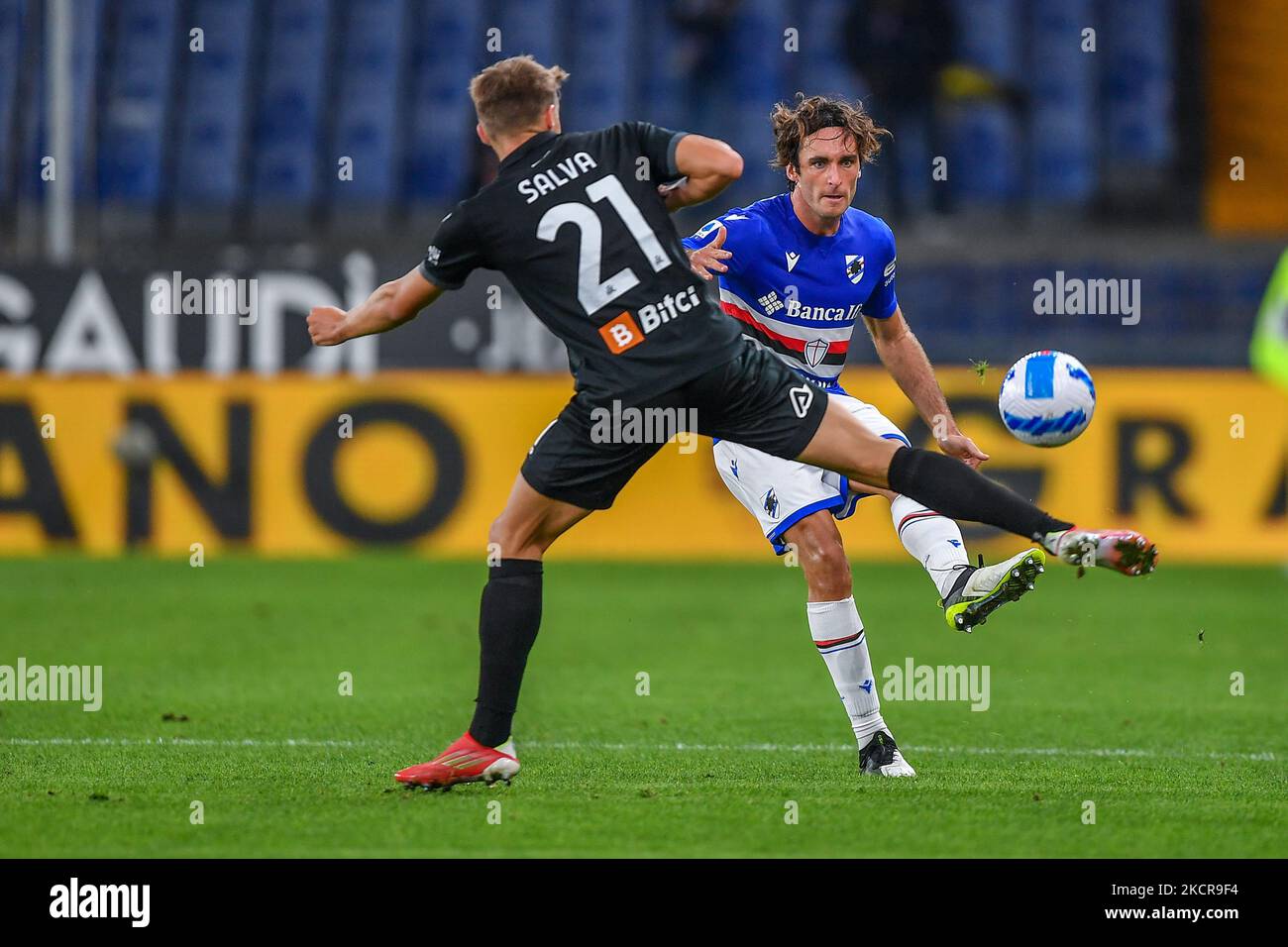 Salvador ferrer canals hi-res stock photography and images - Alamy