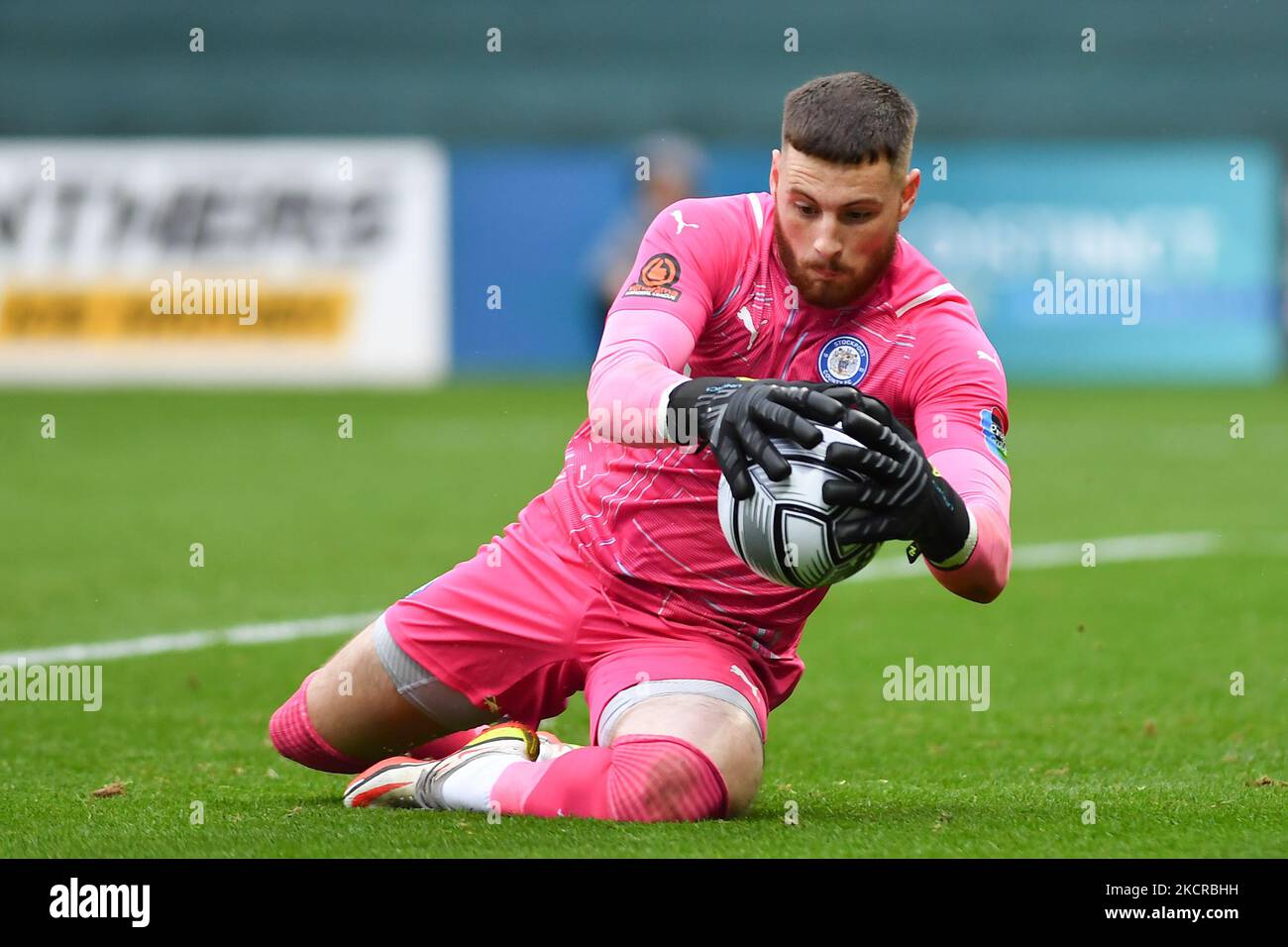 Ethan ross hi-res stock photography and images - Alamy