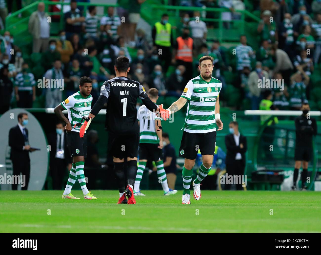 Sebastian Coates of Sporting CP during the Liga Portugal Bwin match ...