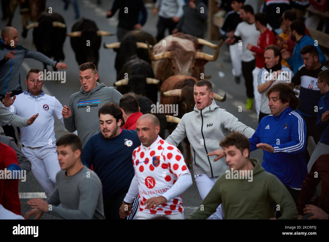 The young men run in front of the steers of the Hermanas Azcona cattle ...
