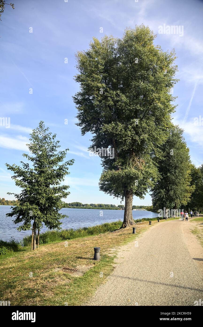 Lakeshore path hi-res stock photography and images - Alamy