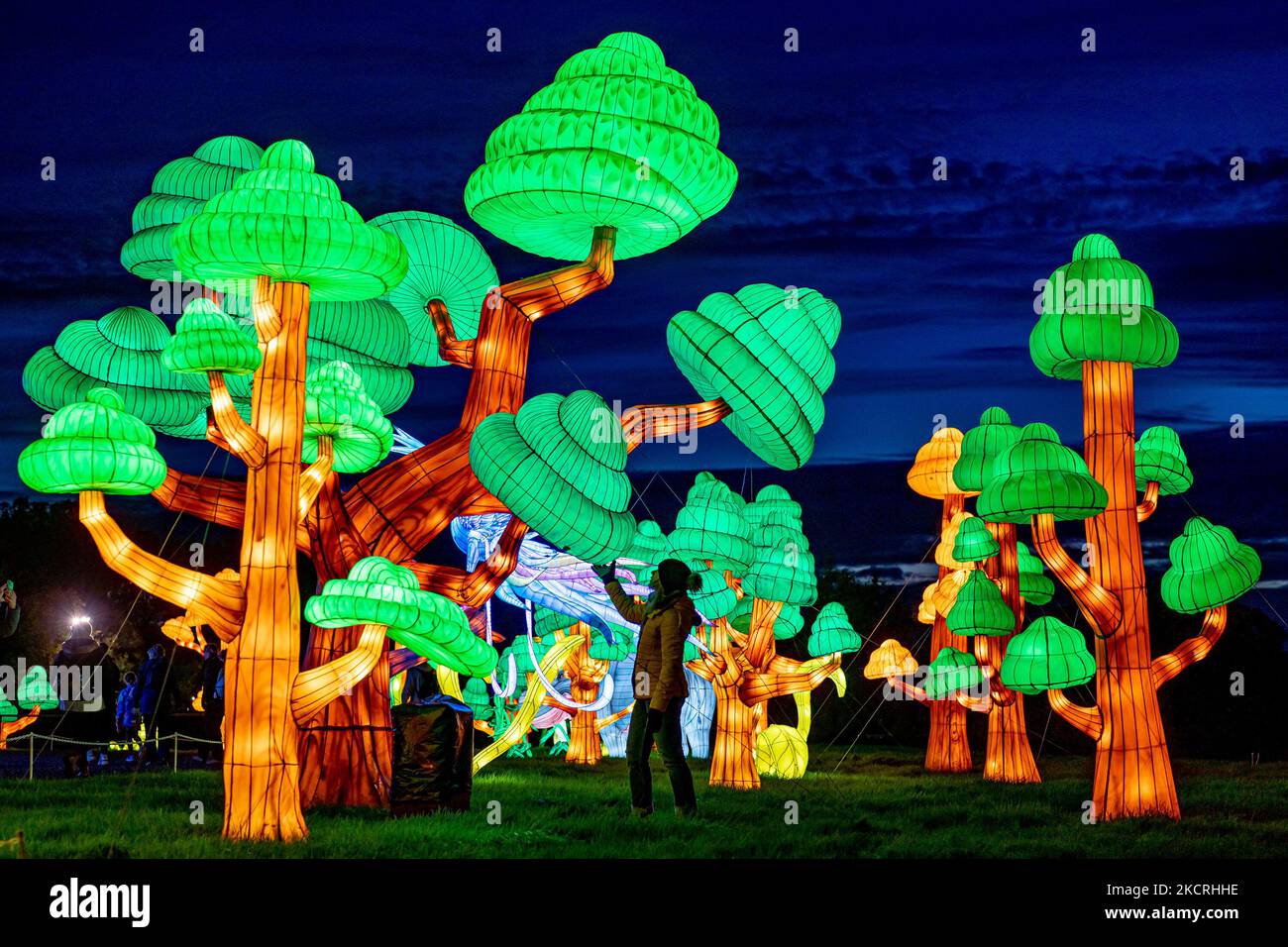 Tree light sculptures in The Enormous Crocodile illumination area at ...
