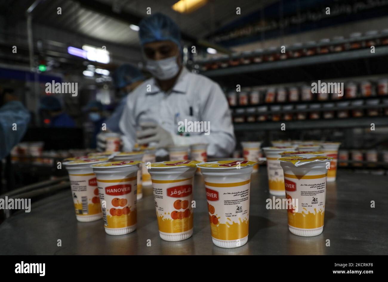 Palestinian workers work at the Hanover factory for the milk and dairy ...