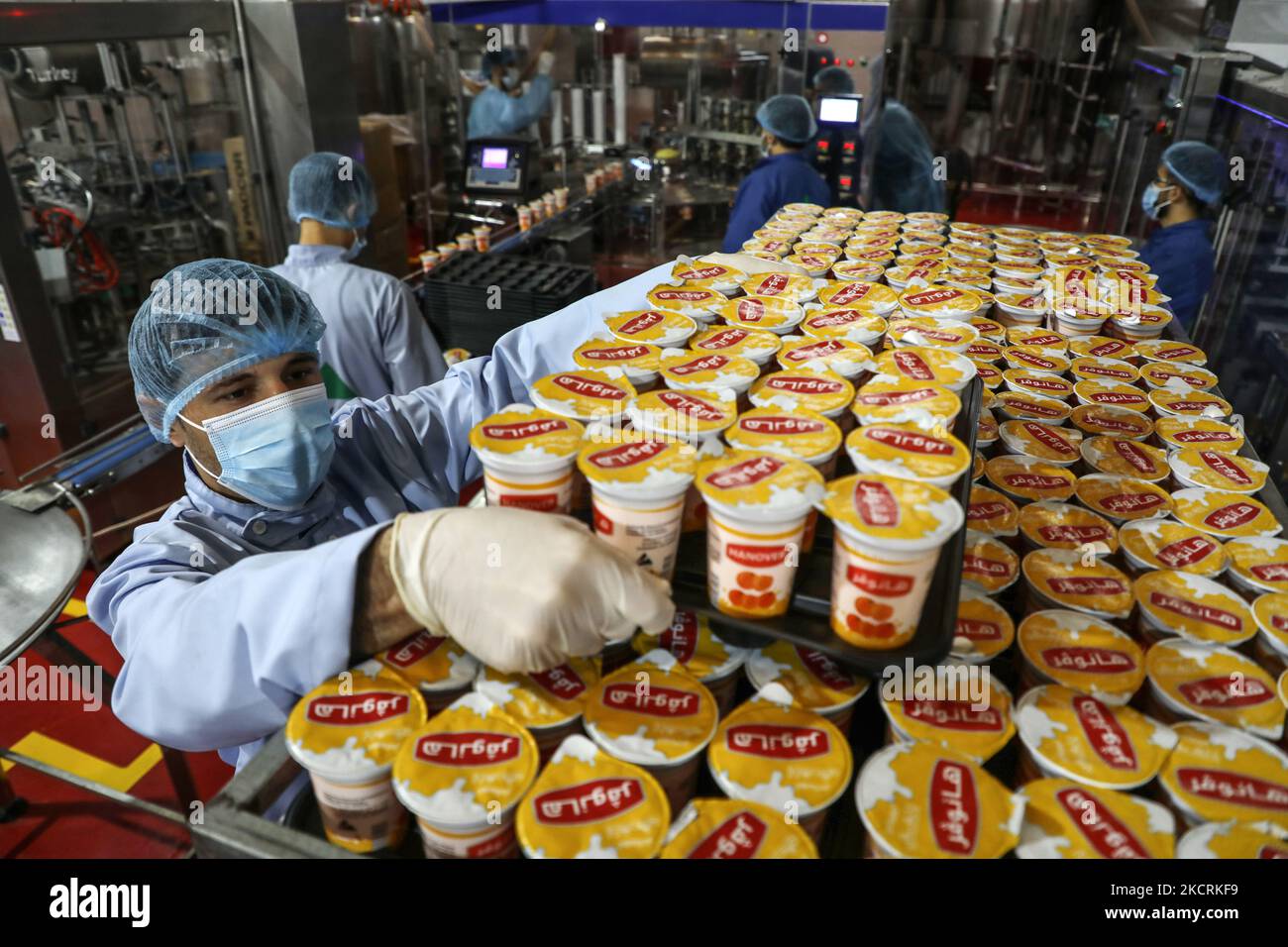 Palestinian workers work at the Hanover factory for the milk and dairy ...