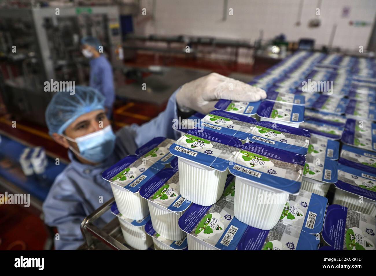 Palestinian workers work at the Hanover factory for the milk and dairy ...