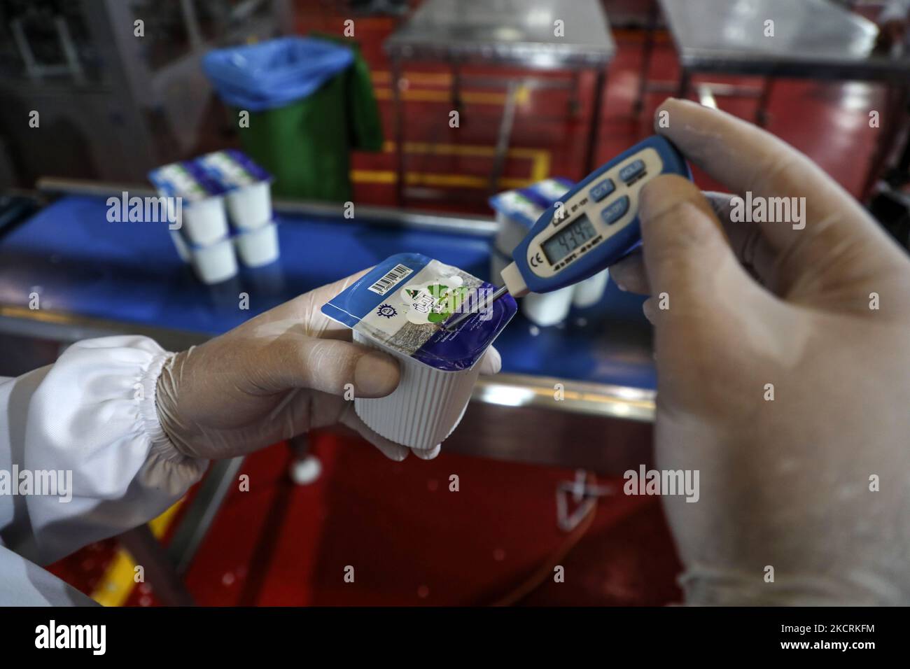 Palestinian workers work at the Hanover factory for the milk and dairy ...