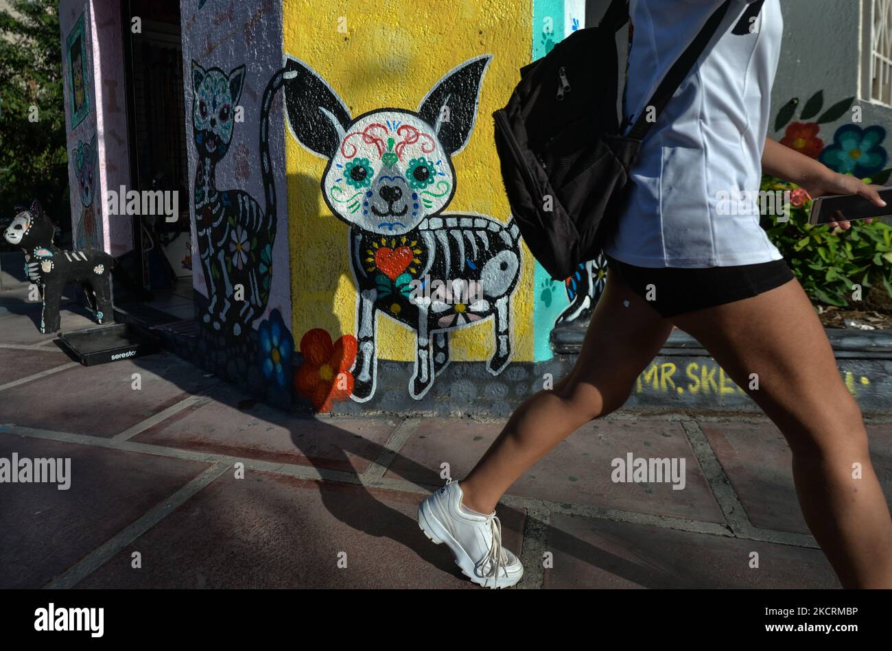 The Day of the Dead (Día de Muertos) related graffiti seen in the ...