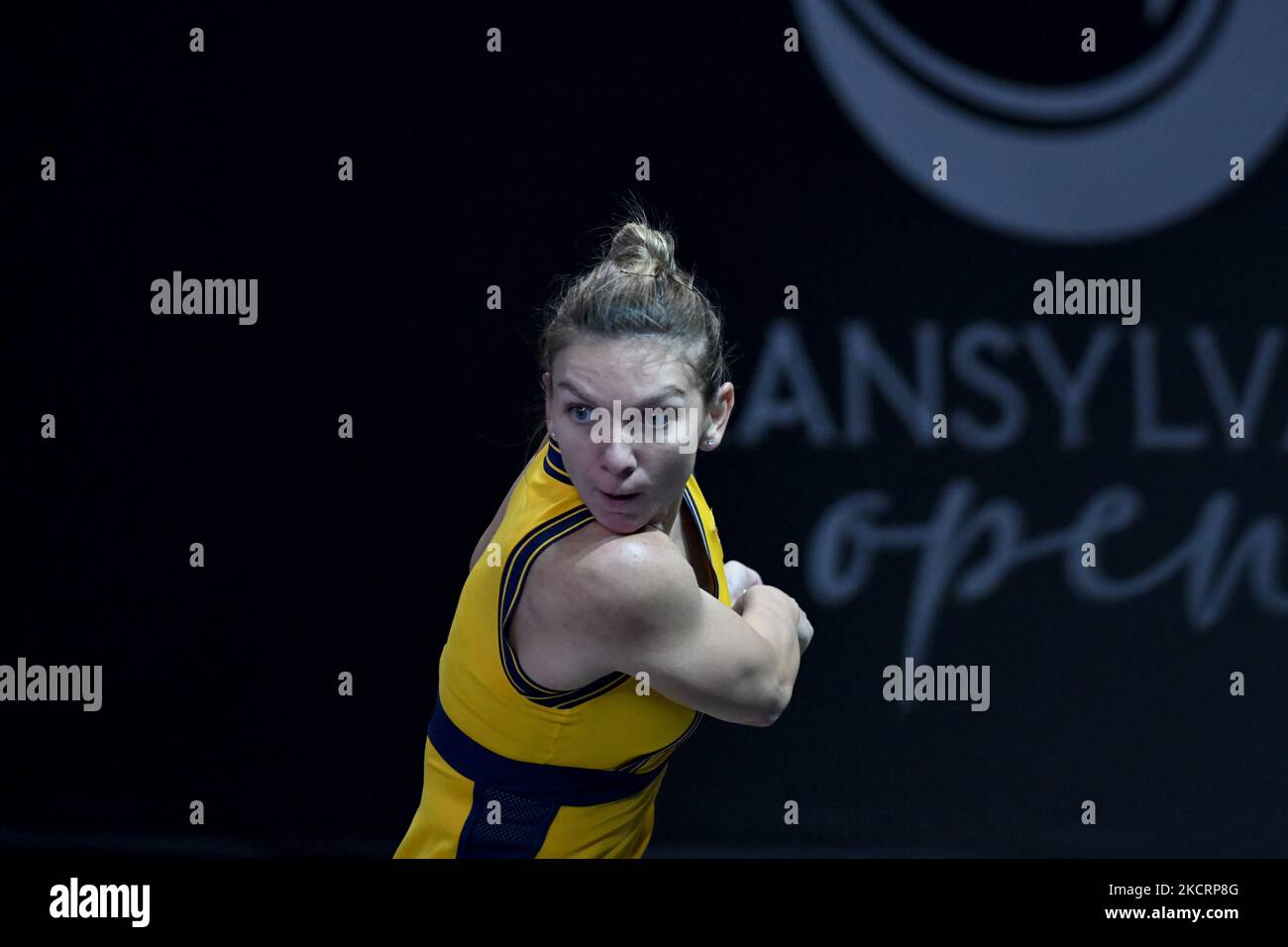 Portrait of Simona Halep - in action waiting for the ball during her ...