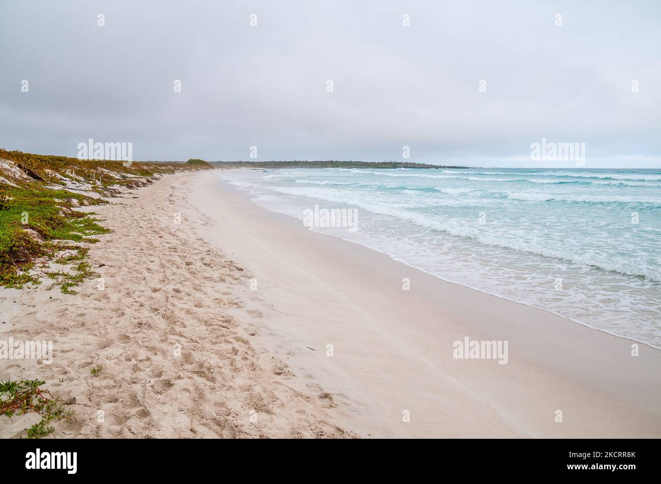Tortuga Bay, October, Santa Cruz, Galapagos Islands Stock Photo - Alamy