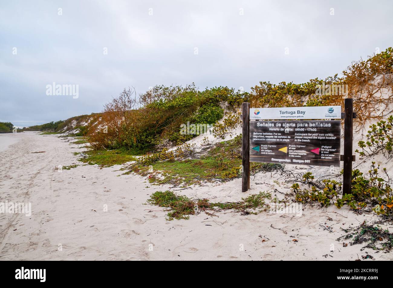Swimmers safety signals, Tortuga Bay, October, Santa Cruz, Galapagos ...