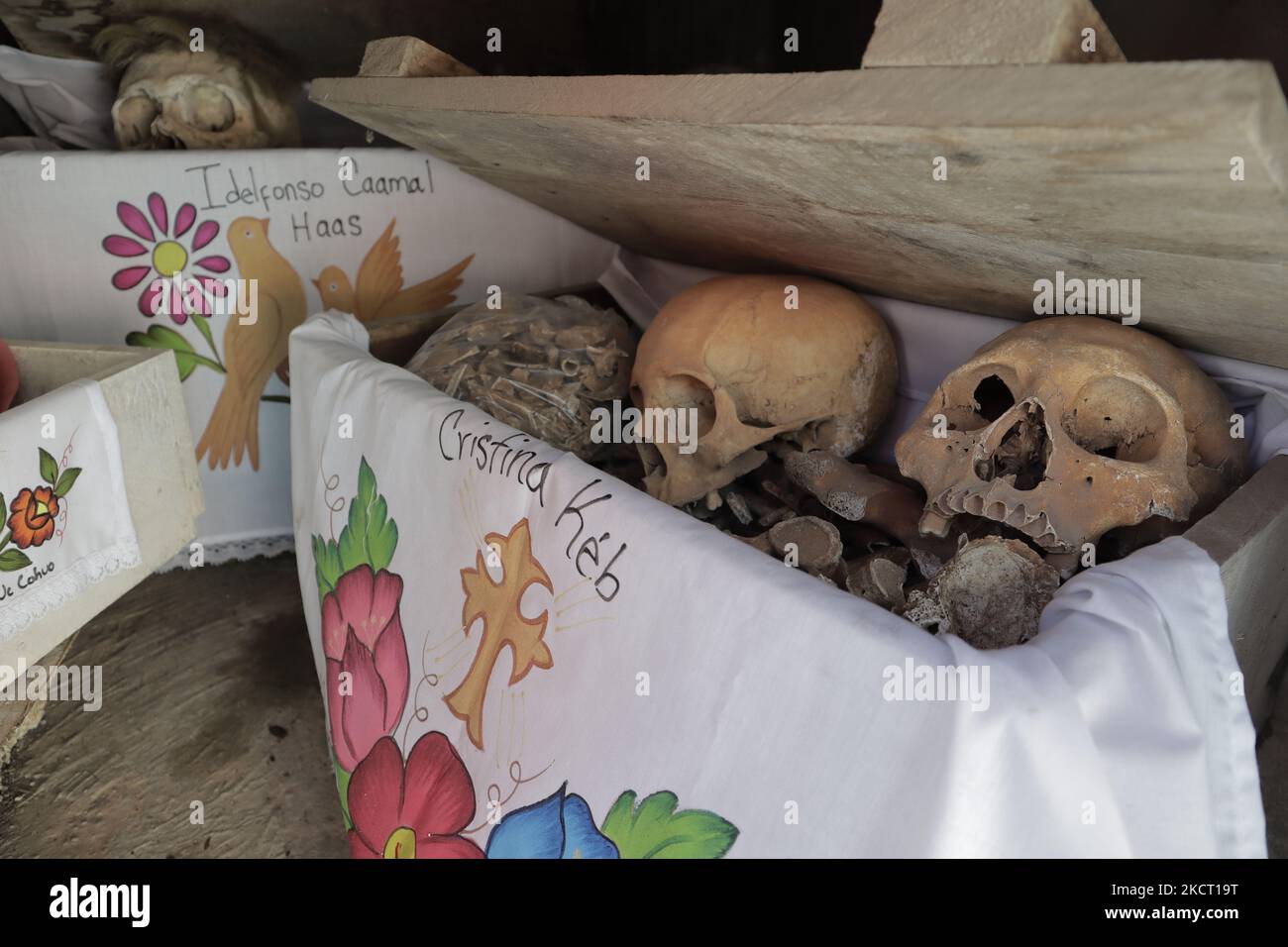Several skulls inside a box in the cemetery of Pomuch, an indigenous ...