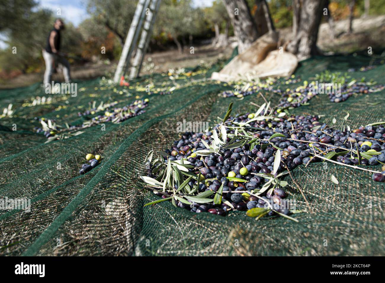 1 ofena italy hi-res stock photography and images - Alamy