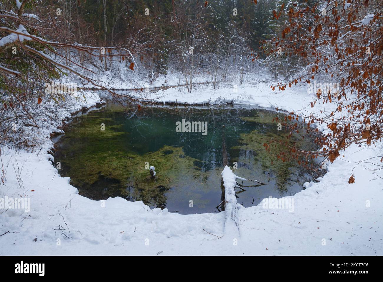 Saula blue springs (siniallikad in Estonian) at snowy winter Stock ...