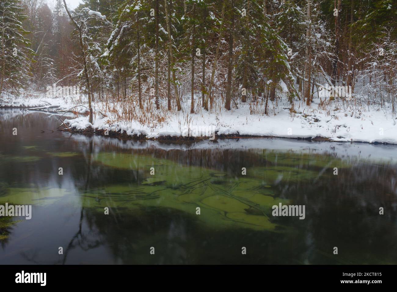 Saula blue springs (siniallikad in Estonian) at snowy winter Stock ...