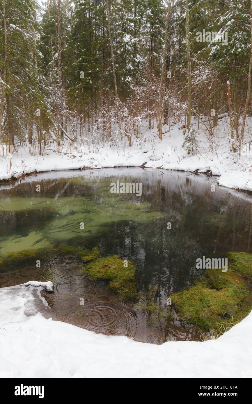 Saula blue springs (siniallikad in Estonian) at snowy winter Stock ...