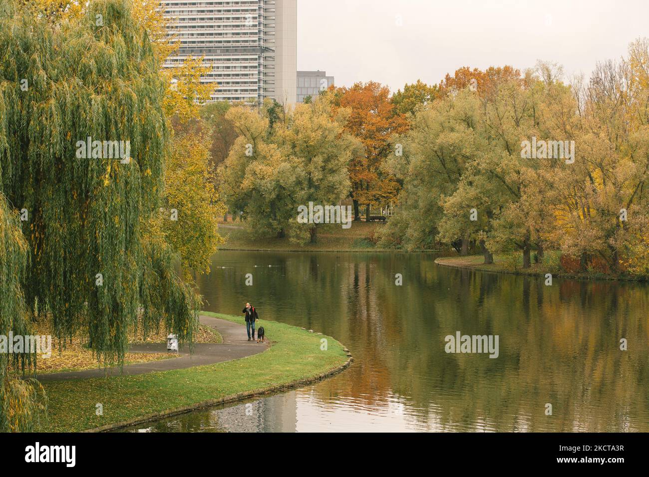 A generel view of Rheinaue Park during the autumn season as trees ...