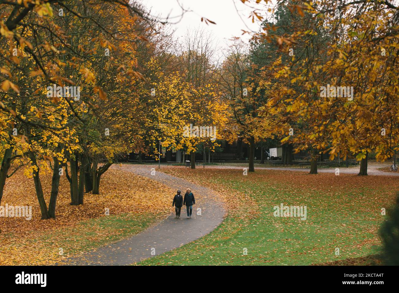 a generel view of Rheinaue Park during the autumn season as trees ...