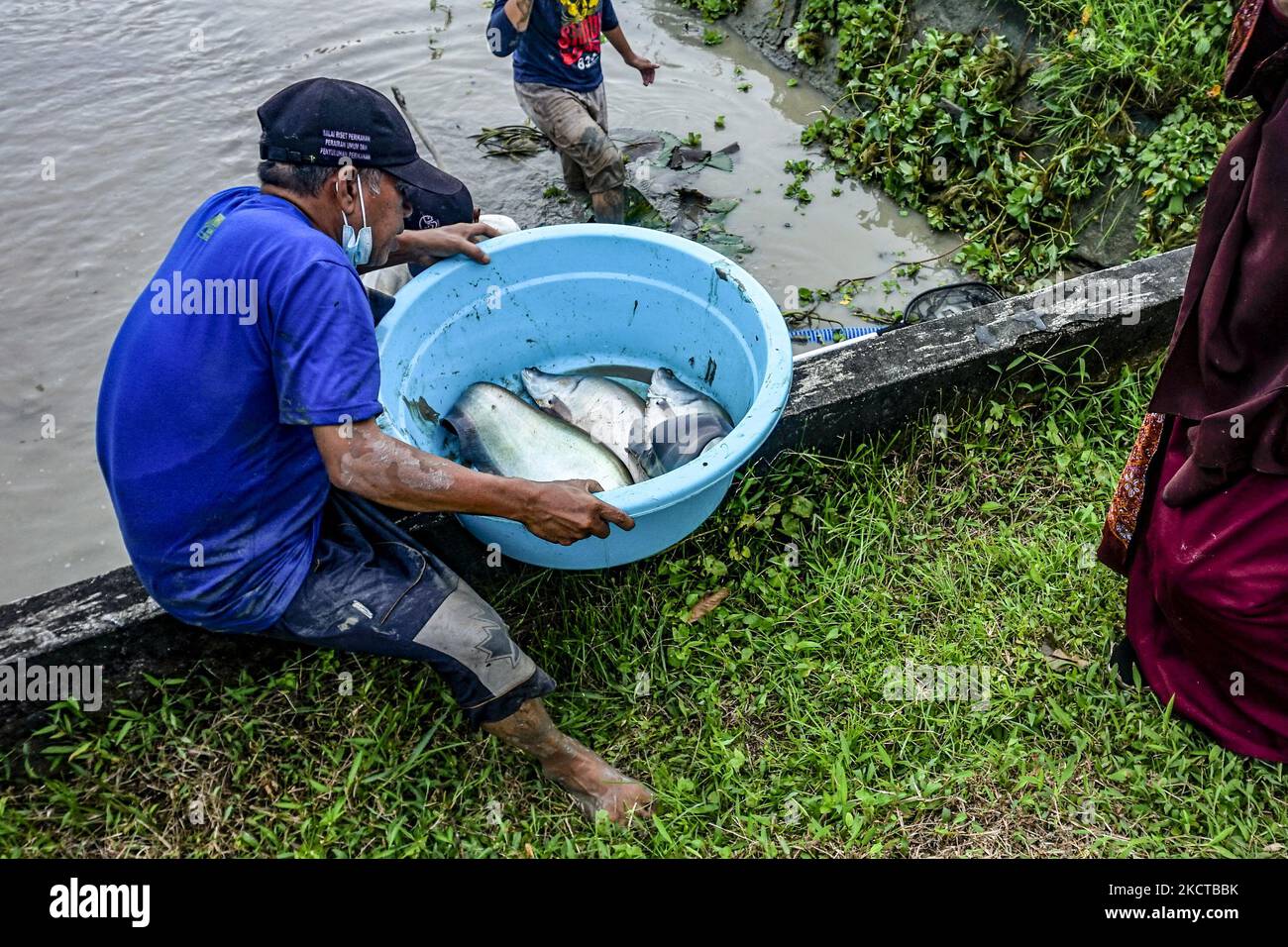Workers at the Ministry of Fisheries and Maritime Affairs in Mariana ...