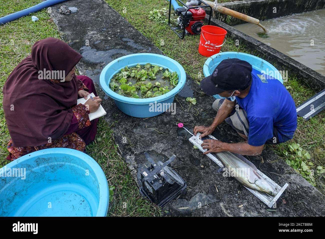 Workers at the Ministry of Fisheries and Maritime Affairs in Mariana ...