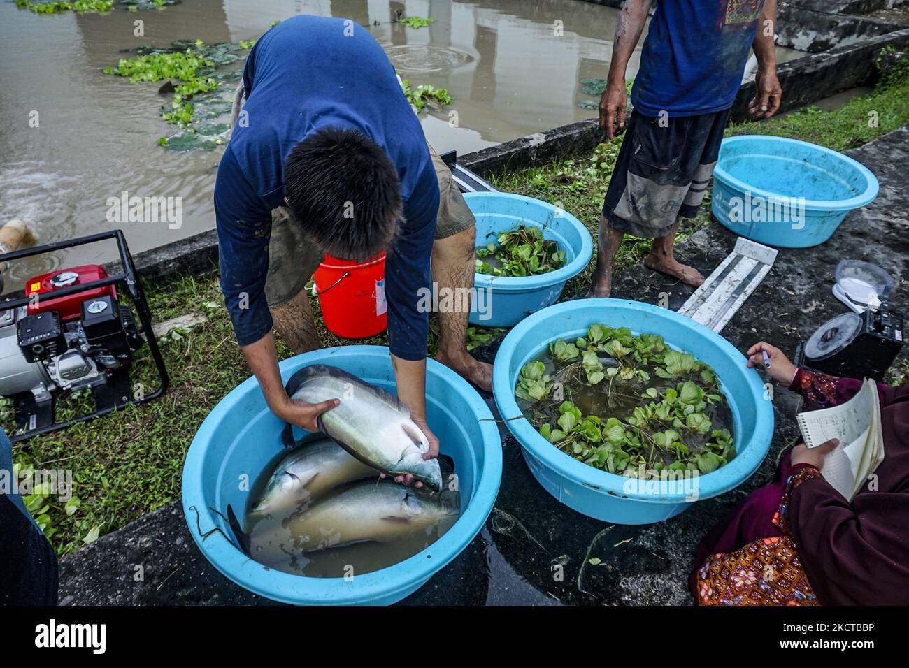 Workers at the Ministry of Fisheries and Maritime Affairs in Mariana ...