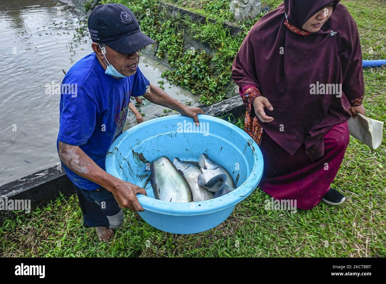 Belinda fish hi-res stock photography and images - Alamy