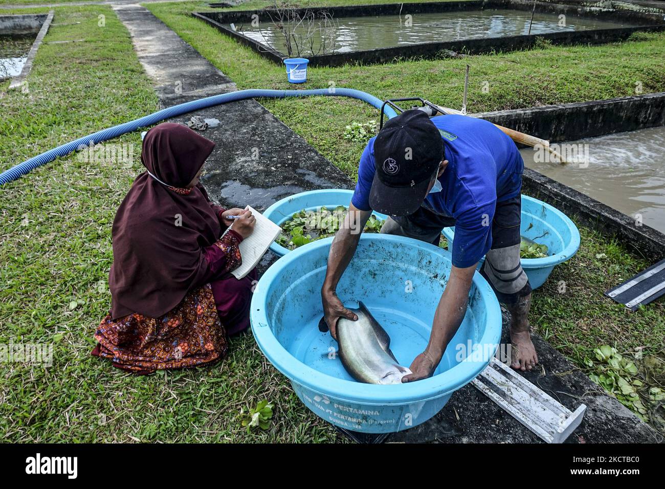 Workers at the Ministry of Fisheries and Maritime Affairs in Mariana ...