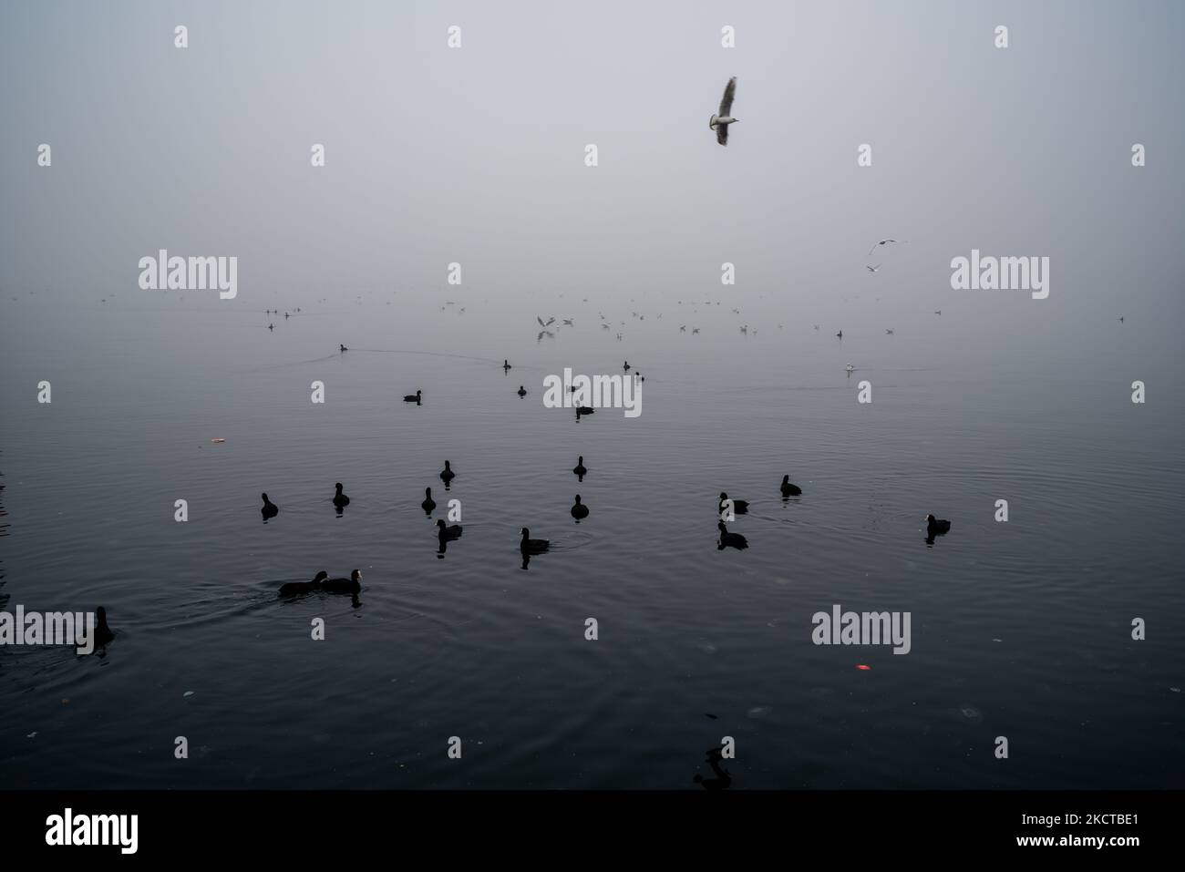 Turkey Istanbul On November 6, 2021, heavy fog appears in Istanbul ...