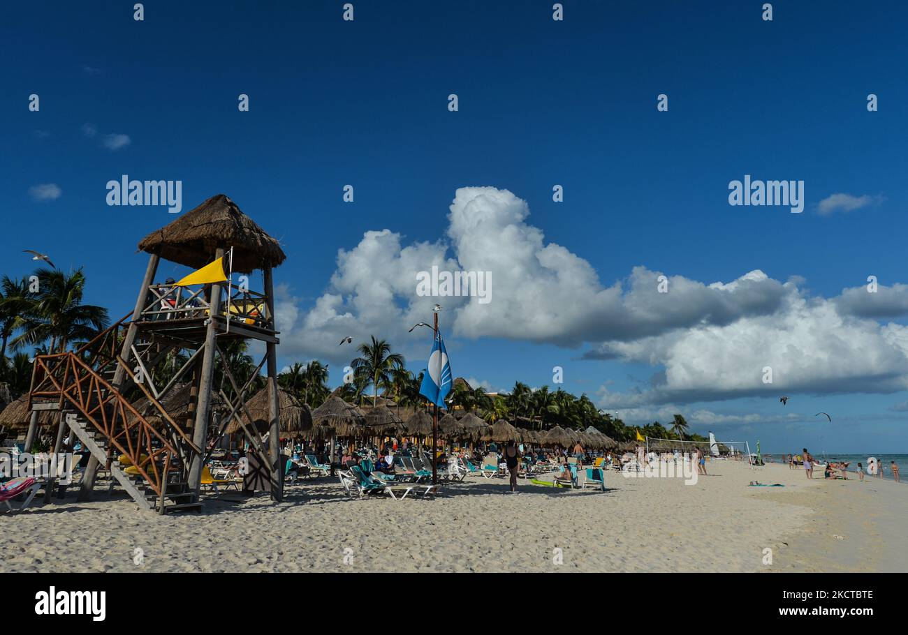 Palm lined playacar beach hi-res stock photography and images - Alamy