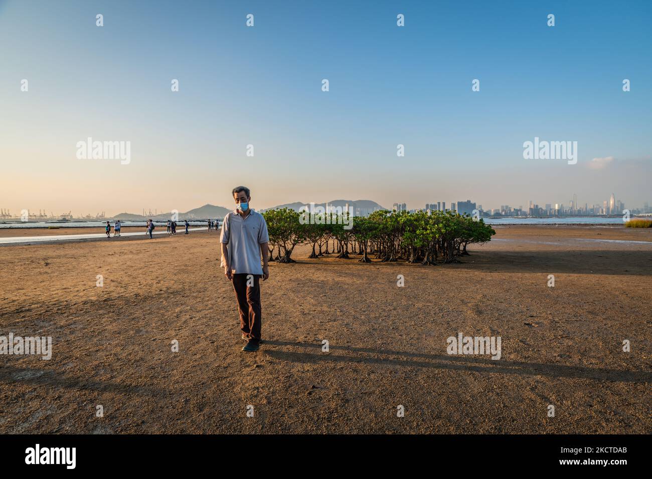 Hong Kong, China, 6 Nov 2021, An isolated clump of mangroves trees can ...