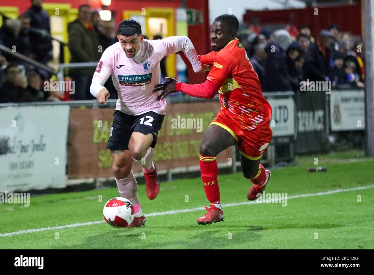 Josh plant hi-res stock photography and images - Alamy