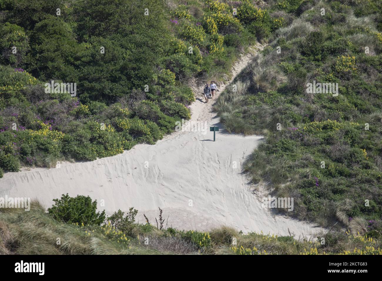 Visitors walk along a sand dune in Sandfly Bay near Dunedin, on ...