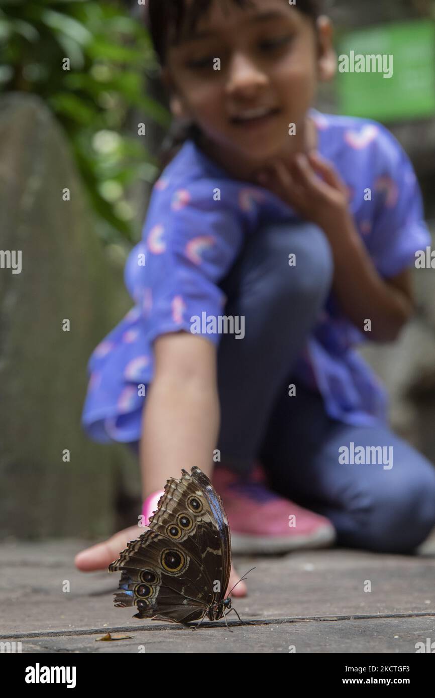 Minudi menulya hi-res stock photography and images - Alamy