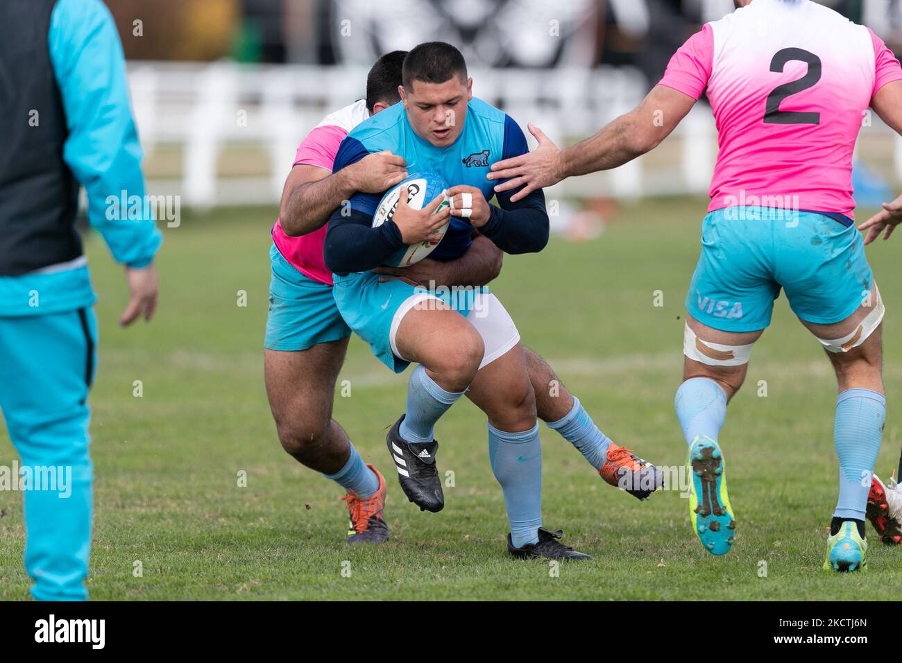 Thomas Gallo during Los Pumas training session prior to their autumn ...