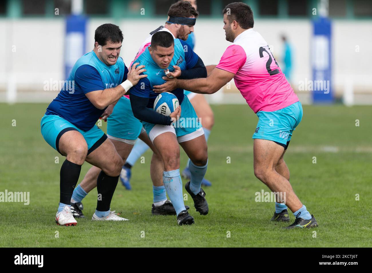 Thomas Gallo during Los Pumas training session prior to their autumn ...